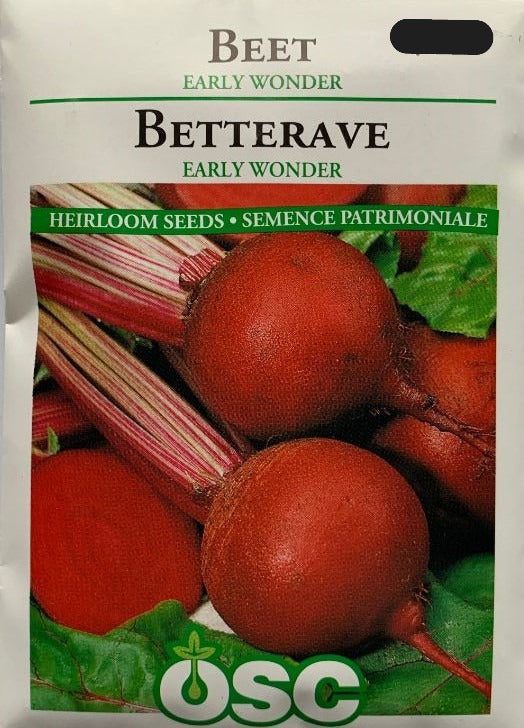 Seed- Beet Early Wonder – Knippel Garden Centre