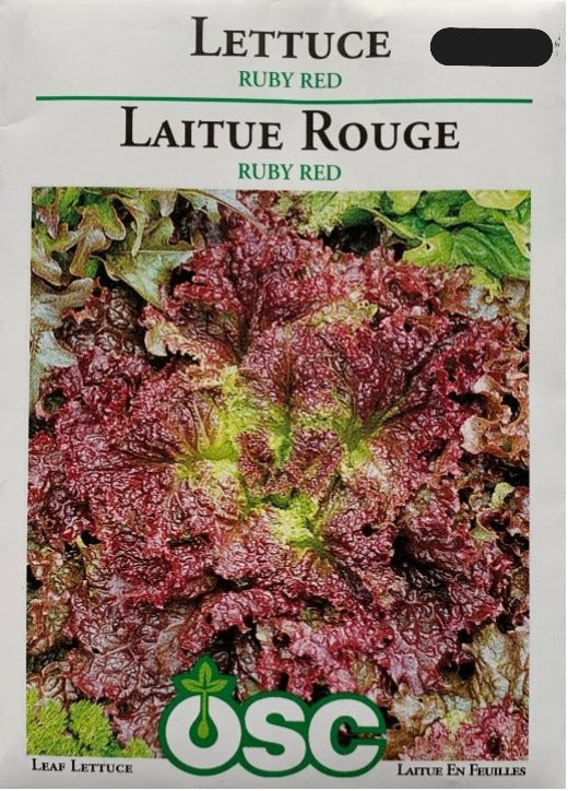 Seed- Leaf Lettuce Ruby Red – Knippel Garden Centre
