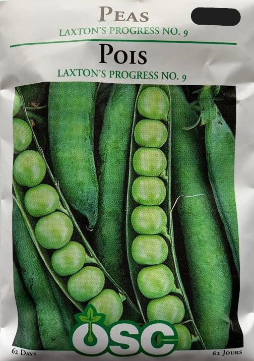 Seed- Peas Laxtons Progress NO. 9 – Knippel Garden Centre