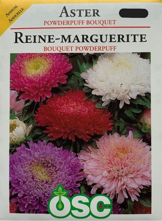 Seed- Aster Powderpuff Boquet – Knippel Garden Centre