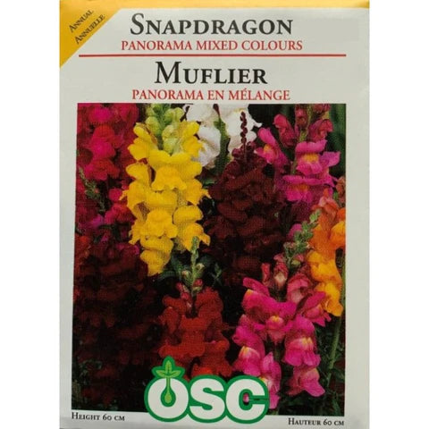 Seed - Snapdragon Panorama Mixed – Knippel Garden Centre