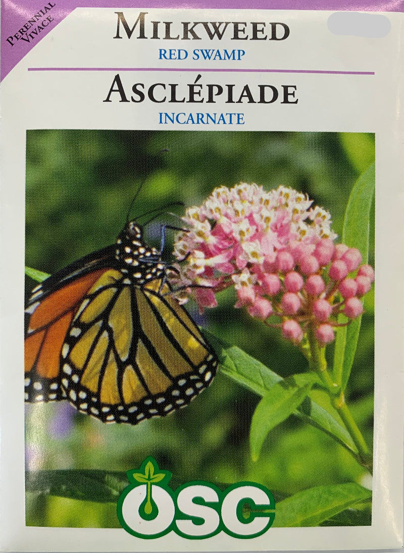 Seed - Milkweed Red Swamp – Knippel Garden Centre