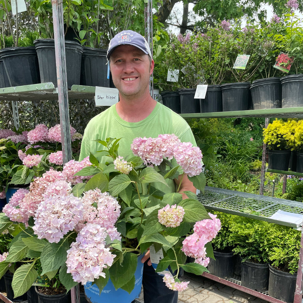 Peter Knippel Nursery - Welcome to Peter Knippel Garden Centre, Ottawa