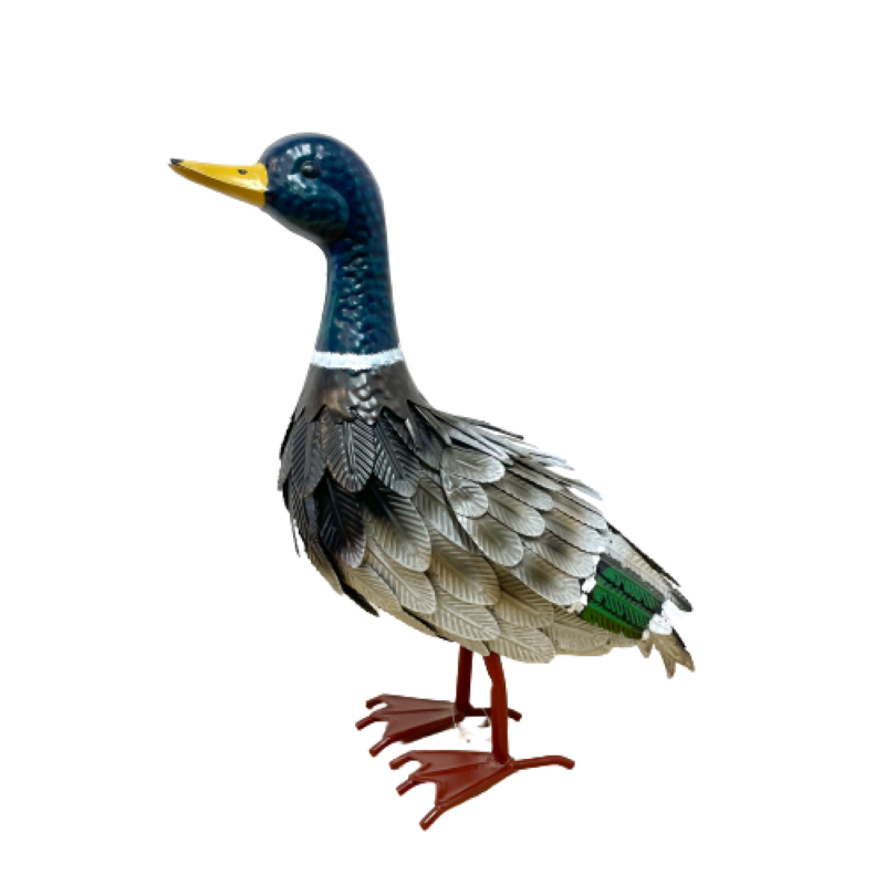 METAL DUCK 16" – Knippel Garden Centre