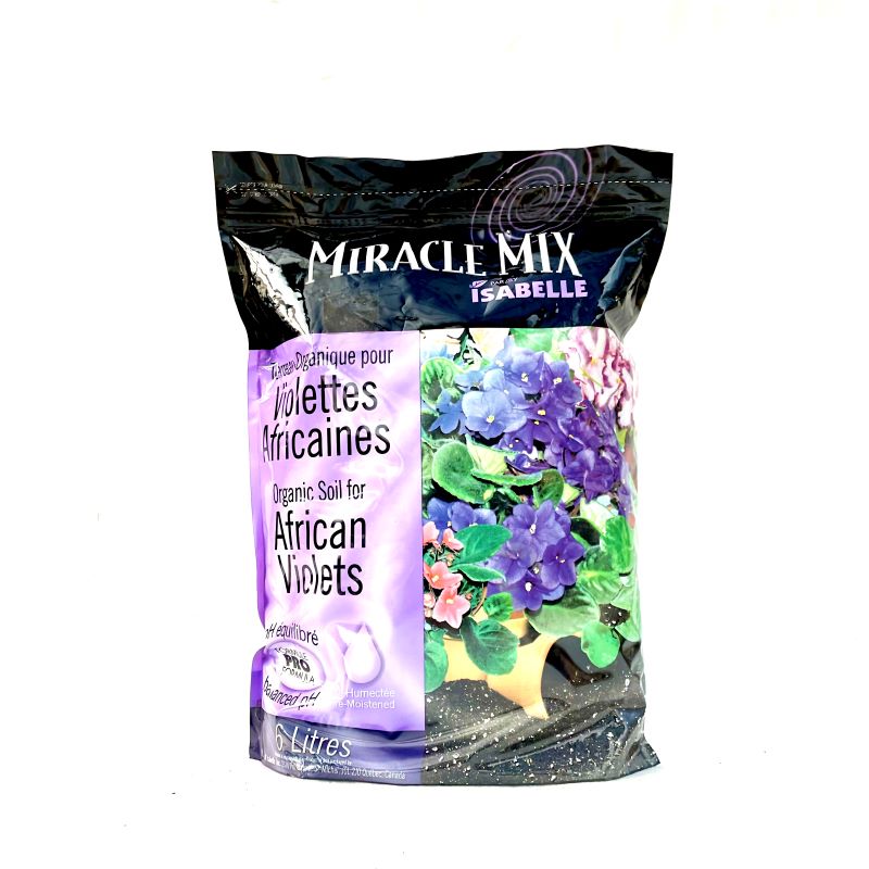 MIRACLE MIX AFRICAN VIOLET MIX – Knippel Garden Centre