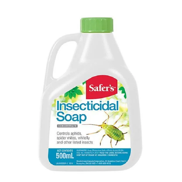 Insecticide Soap Concentrate – Knippel Garden Centre